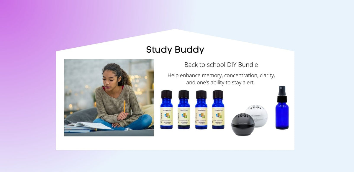 Study Buddy - Wyndmere Naturals